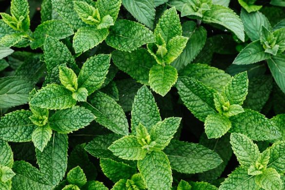 How to Properly Treat a Glass Injury: What to Do and Avoid - NaijaPr